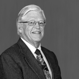 About David Ferguson - The Nitsche Group